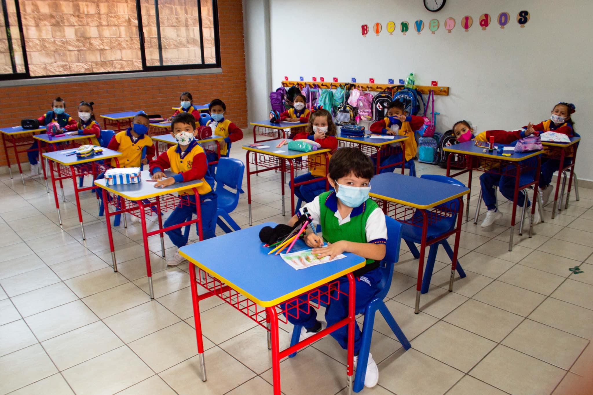 Primaria – Colegio Internacional Discovery